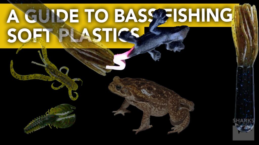 A Guide To Bass Fishing Soft Plastics – sharksinfo.com