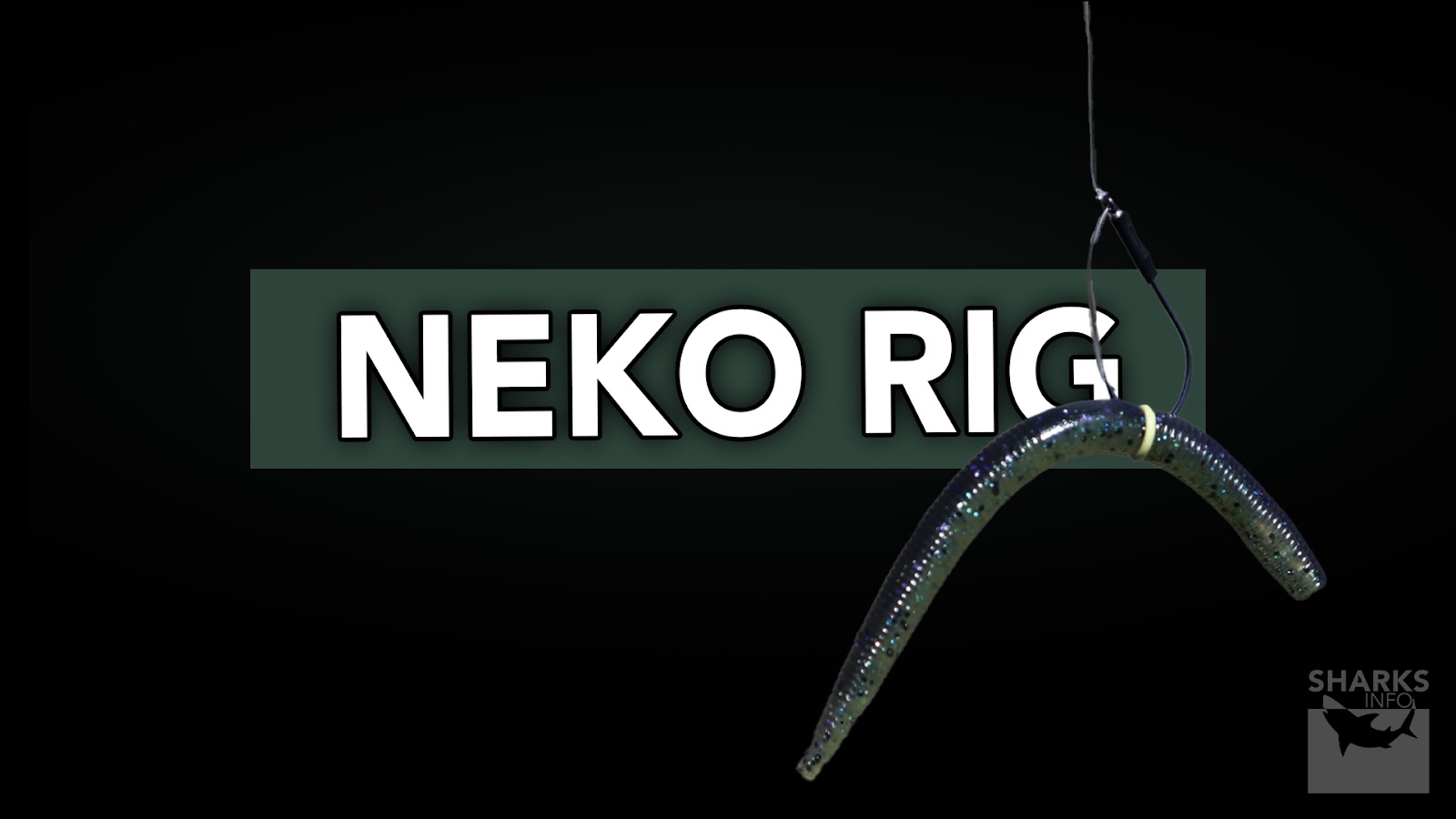 12 Great Ways To Rig A Floating Worm For Bass Fishing – sharksinfo.com