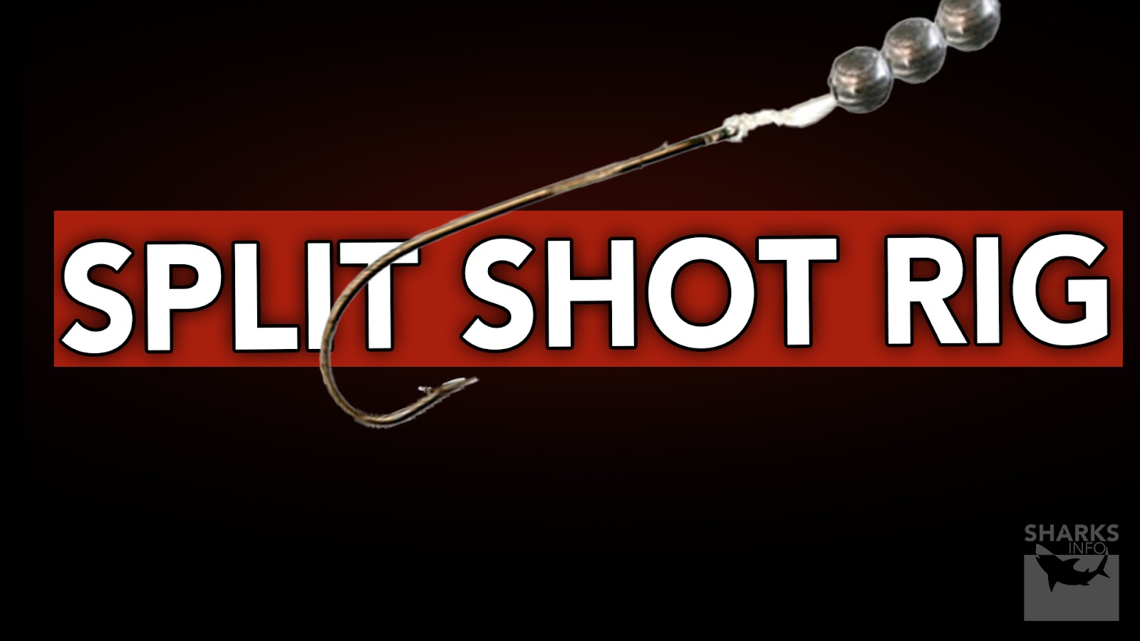 12 Great Ways To Rig A Floating Worm For Bass Fishing – sharksinfo.com