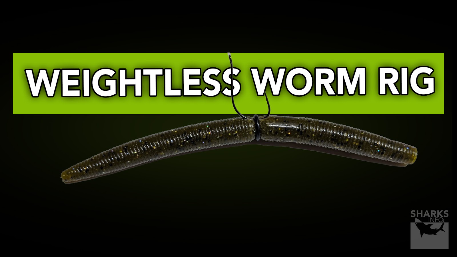 12 Great Ways To Rig A Floating Worm For Bass Fishing – sharksinfo.com