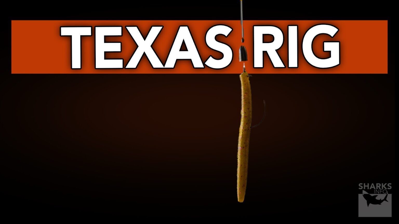 12 Great Ways To Rig A Floating Worm For Bass Fishing – sharksinfo.com