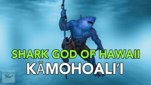 The Shark God of Hawaii – Kāmohoaliʻi – sharksinfo.com