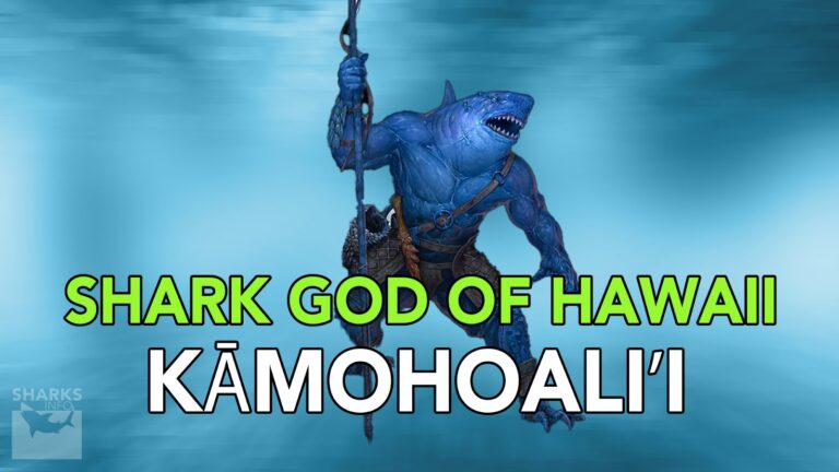 The Shark God of Hawaii – Kāmohoaliʻi – sharksinfo.com