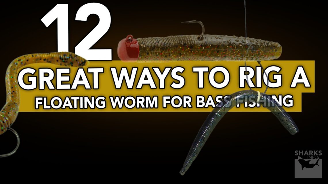 12 Great Ways To Rig A Floating Worm For Bass Fishing – sharksinfo.com
