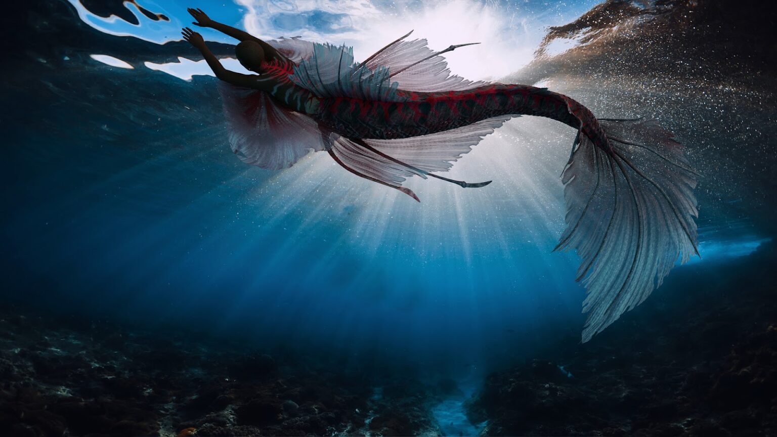 Are Mermaids Real? 10 Mermaid Sightings in History – sharksinfo.com