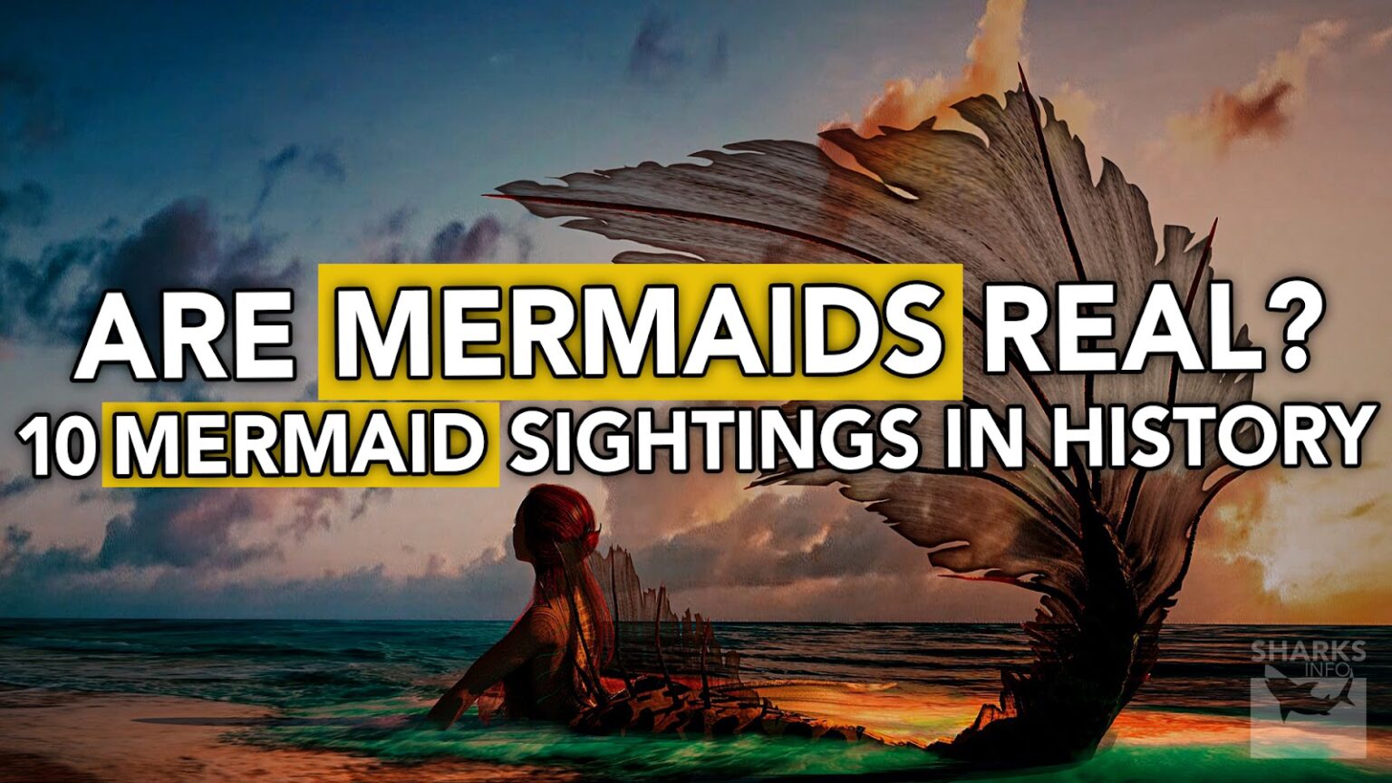 Are Mermaids Real? 10 Mermaid Sightings in History – sharksinfo.com
