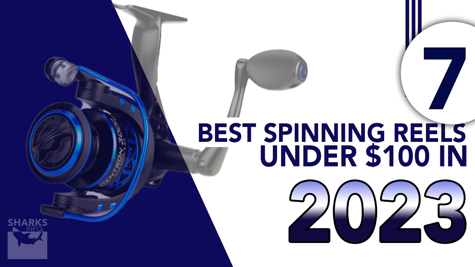 7 Best Spinning Reels Under $100 in 2023 – sharksinfo.com