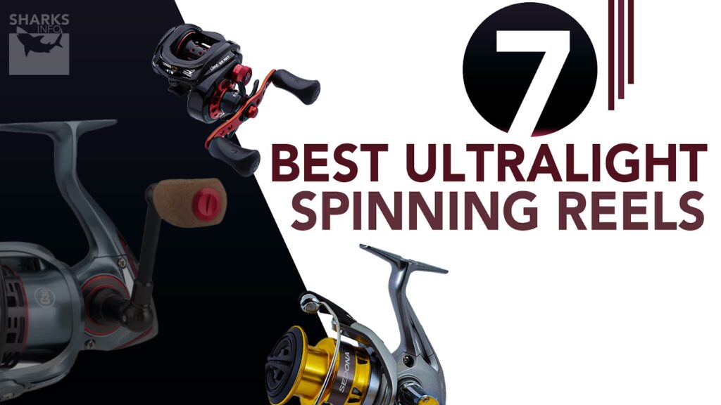7 Best Ultralight Spinning Reels (Shimano 500, 1000, 2500) – sharksinfo.com
