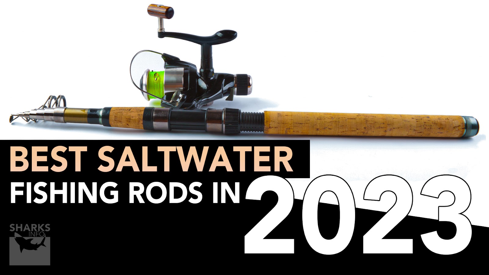 Best Saltwater Fishing Rods in 2023 – sharksinfo.com