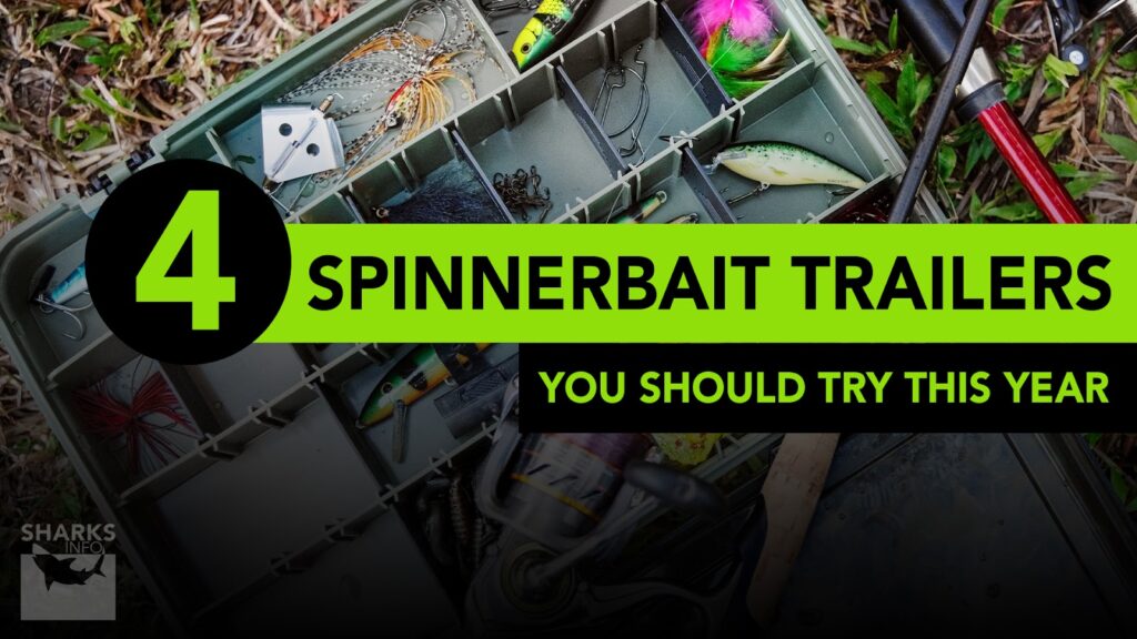 4 Spinnerbait Trailers You Should Try This Year – sharksinfo.com