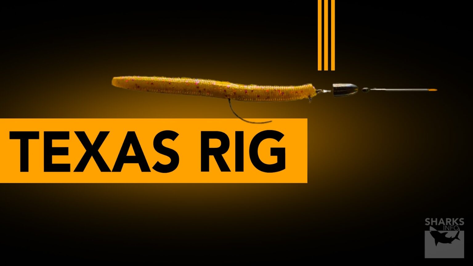 5 Bass Fishing Rigs Every Angler Should Know – sharksinfo.com