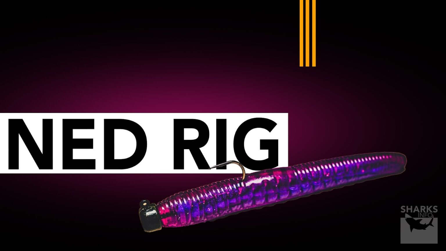 5 Bass Fishing Rigs Every Angler Should Know – sharksinfo.com