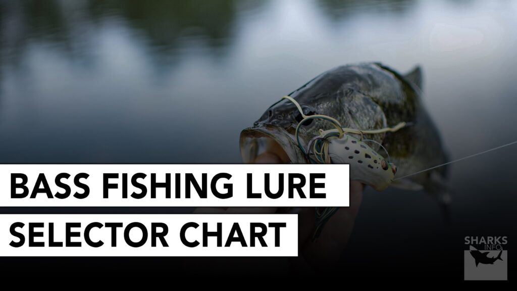 Bass Fishing Lure Selector Chart – sharksinfo.com