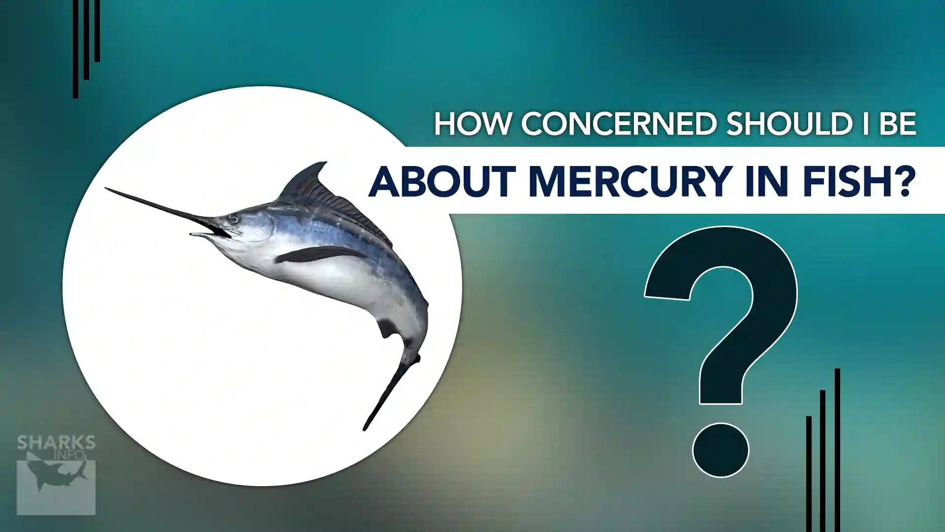 How Concerned Should I be About Mercury in Fish - sharksinfo.com