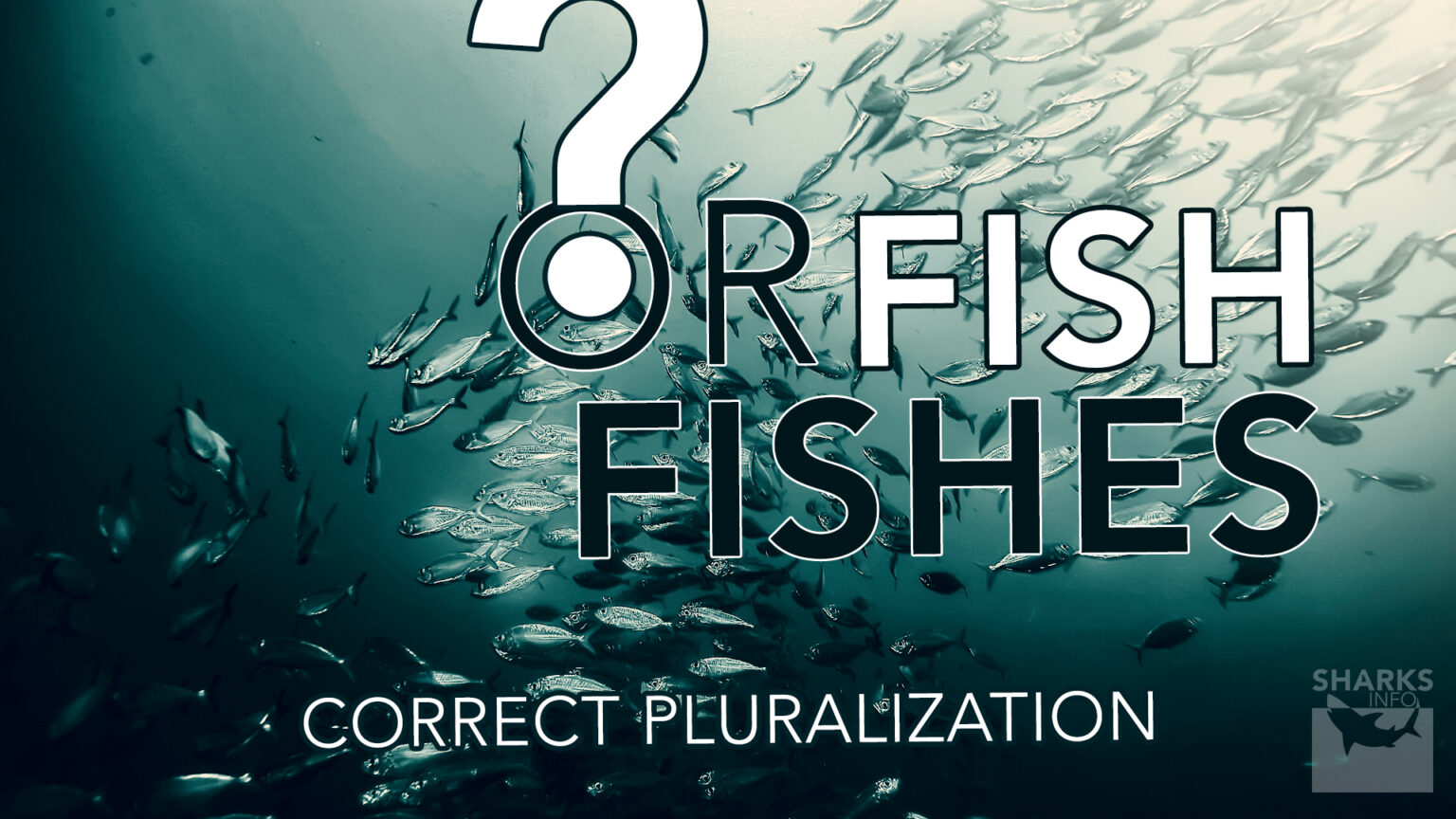 Fish or Fishes – Correct Pluralization – sharksinfo.com