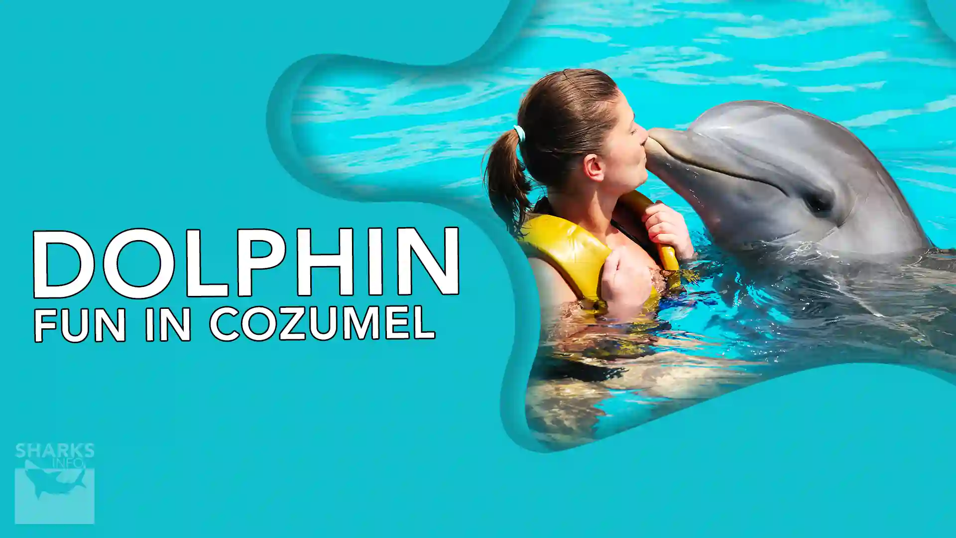 Dolphin Fun in Cozumel - sharksinfo.com