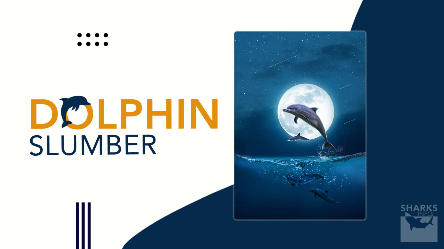Dolphin Slumber: Understanding How Dolphins Sleep? – sharksinfo.com