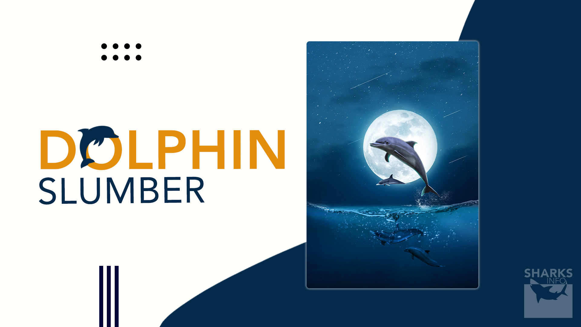 Dolphin Slumber: Understanding How Dolphins Sleep? – sharksinfo.com