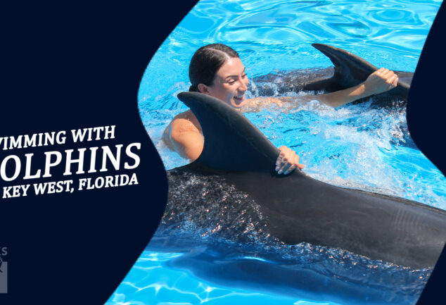 Your Guide To The Great Loop – sharksinfo.com