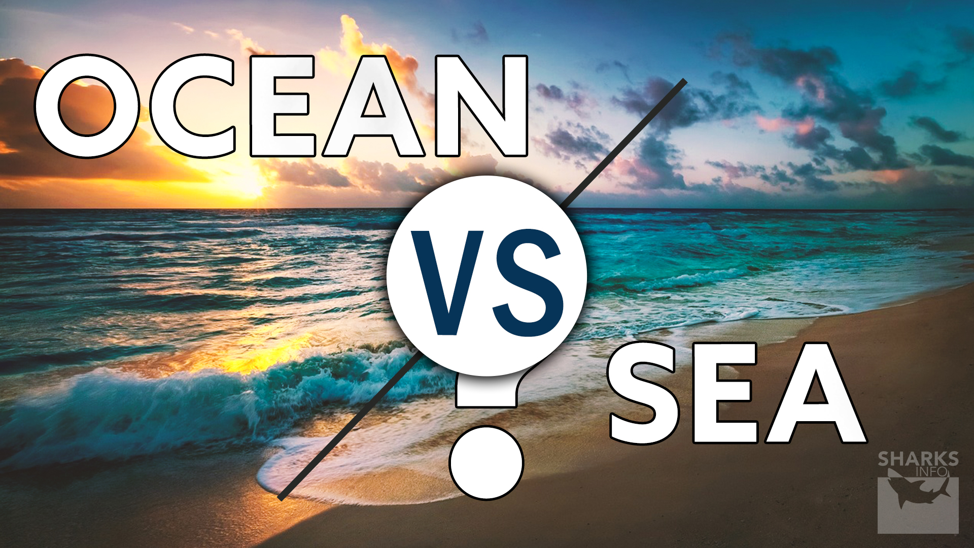 What’s The Difference Between Sea and Ocean? – sharksinfo.com What’s The Difference Between Sea and Ocean? – sharksinfo.com