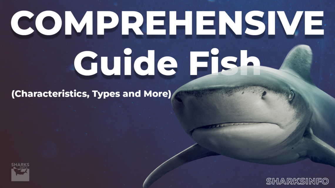 A Comprehensive Guide to Fish: (Characteristics, Types, and More ...