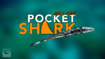 Pocket Shark | Size, Bioluminescence, and Facts – sharksinfo.com