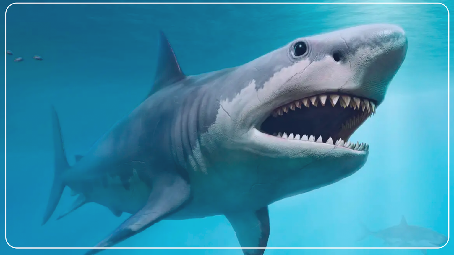 Top 7 Finding Nemo Fish in Real Life - sharksinfo.com