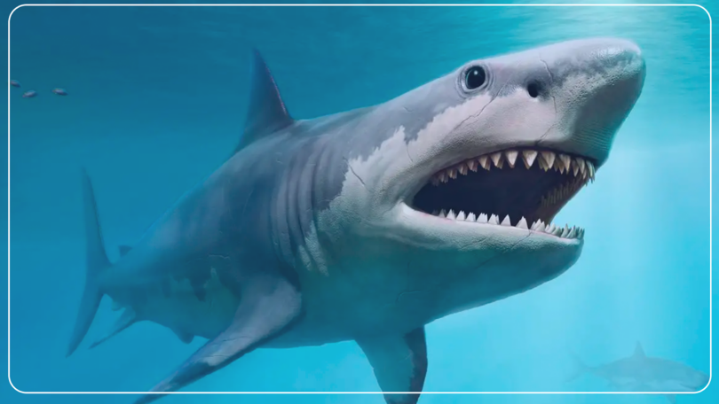 Top 7 Finding Nemo Fish in Real Life – sharksinfo.com