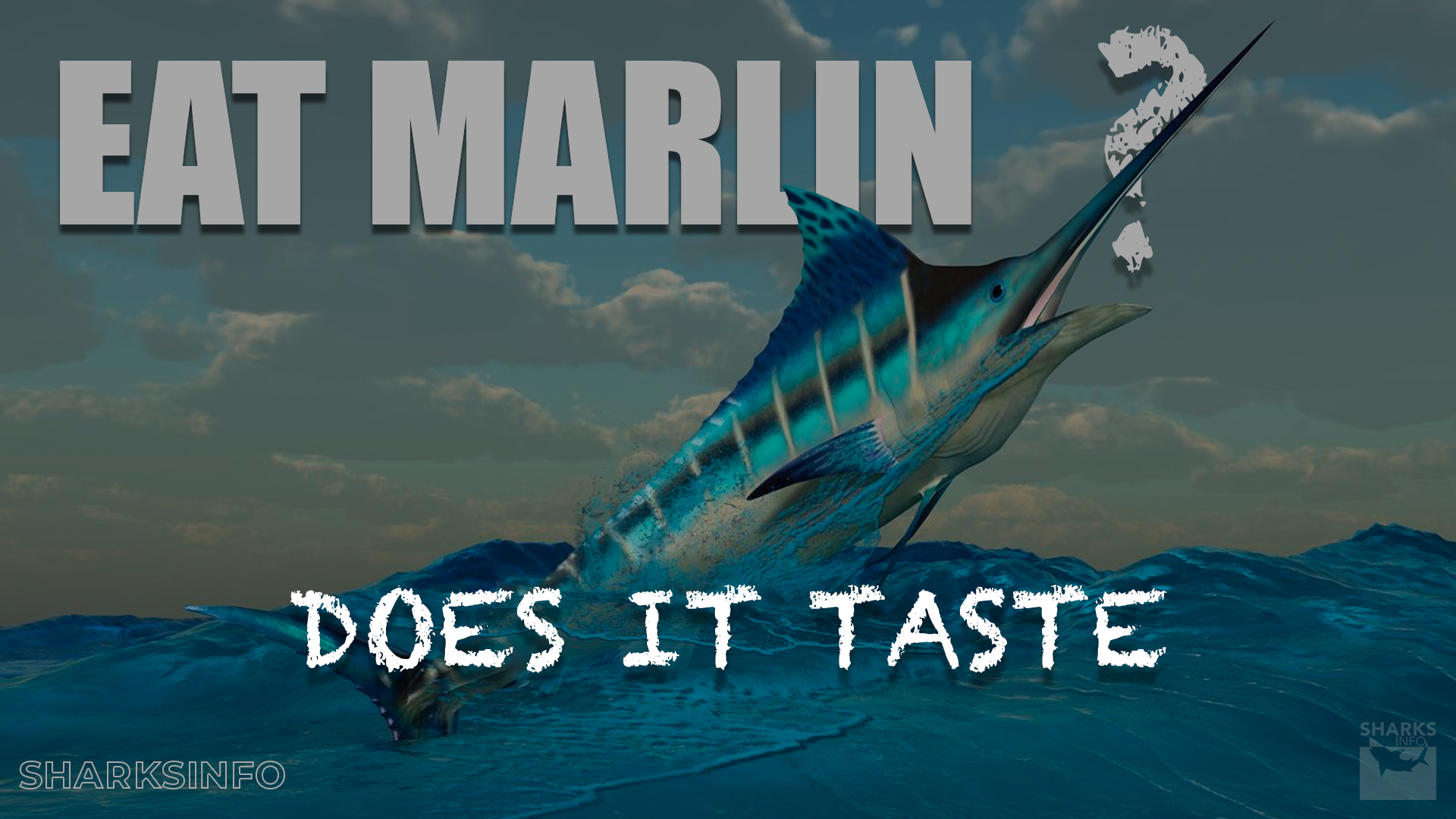 Can You Eat Marlin and How Does it Taste? – sharksinfo.com