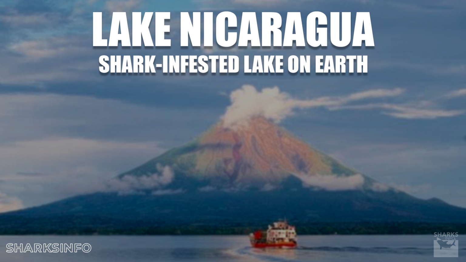 Lake Nicaragua: The Only Shark-Infested Lake on Earth – sharksinfo.com