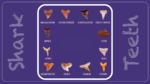 How Sharp Are Shark Teeth? – sharksinfo.com
