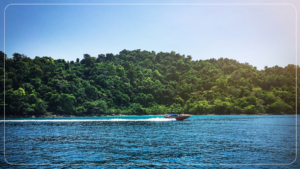 Lake Nicaragua: The Only Shark-Infested Lake on Earth – sharksinfo.com