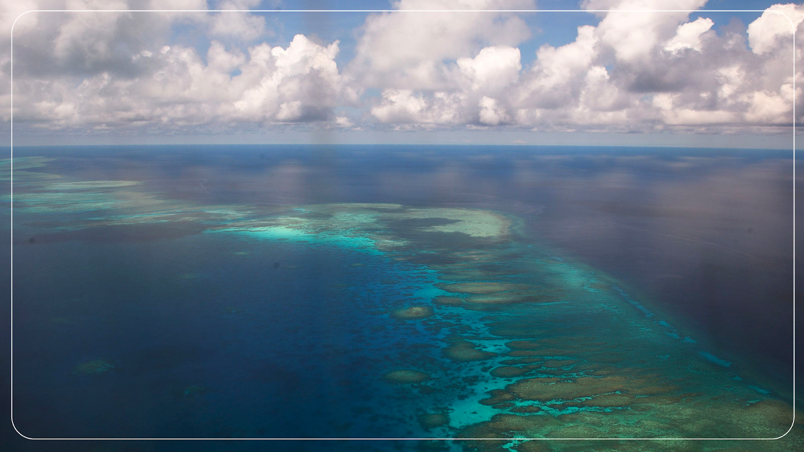 The 5 Largest Seas Across the World – sharksinfo.com