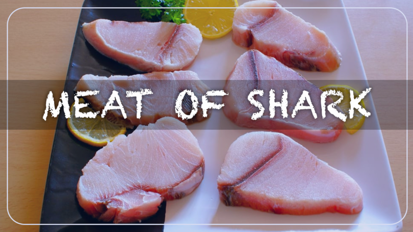What Sharks Can You Eat? – sharksinfo.com