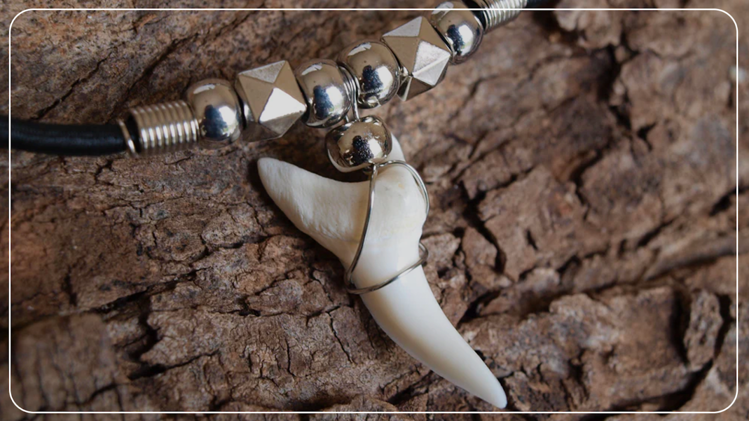 How to Find Shark Teeth On the Beach? – sharksinfo.com