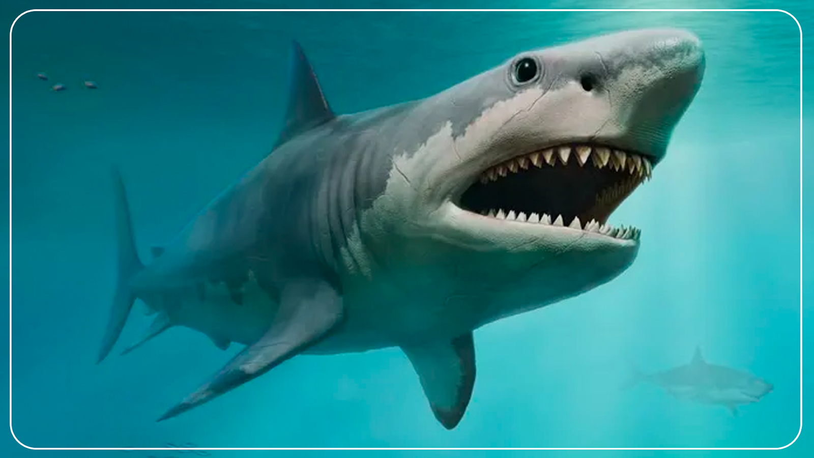 What Eats a Dolphin? – sharksinfo.com